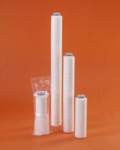 Savana® AT Filter | Liquid Filters | Entegris